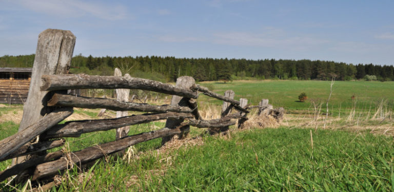 Partition of the Texas Homestead Property | Silberman Law Firm, PLLC