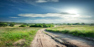 Partition of Heirs’ Property in Texas | Silberman Law Firm, PLLC